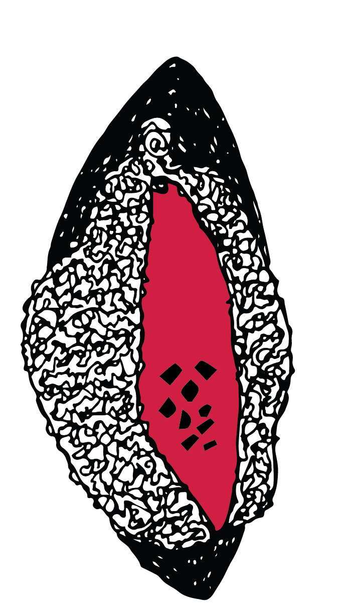 Témoignage : un O(V)NI HYMÉNÉAL : à quoi ressemble l’hymen? – Friction ...