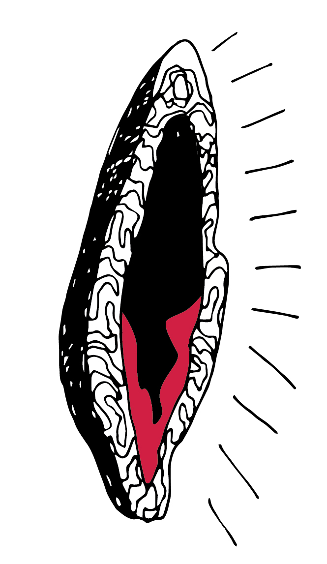 Témoignage : un O(V)NI HYMÉNÉAL : à quoi ressemble l’hymen? – Friction ...