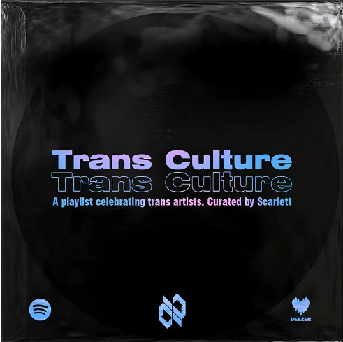 Représenter la musique « trans » dans toute sa richesse et sa diversité ...